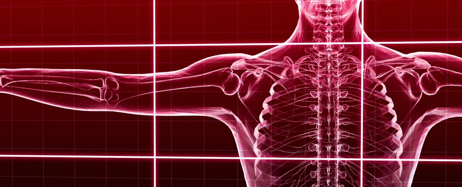 Department of Physiology – Faculty of Medicine