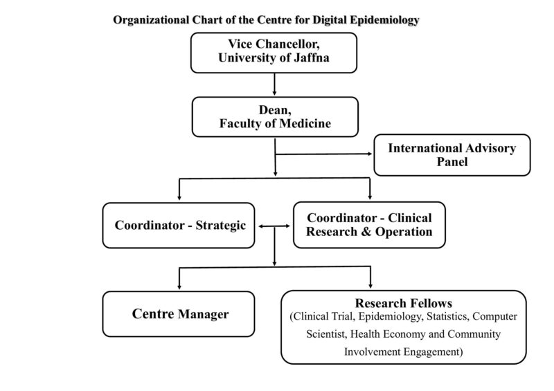Organizational Structure – Faculty of Medicine