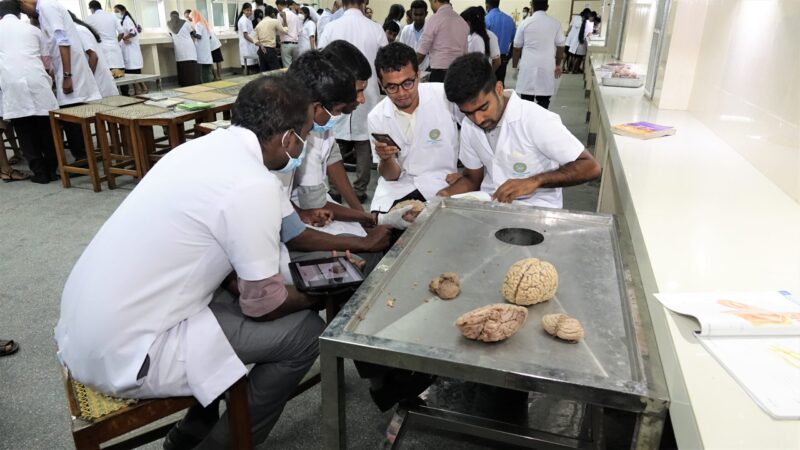 Student Resources ‣ Faculty of Medicine