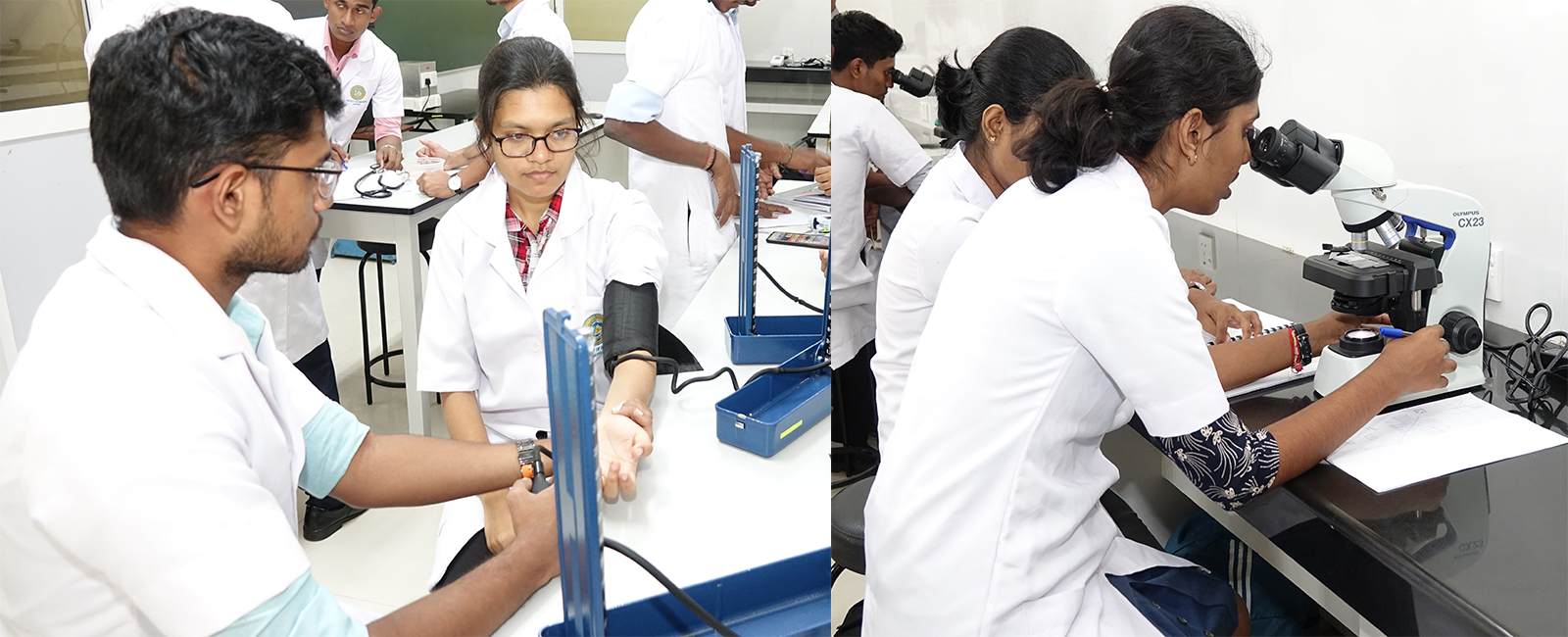 Department of Physiology ‣ Faculty of Medicine